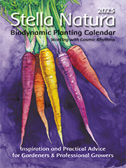 Stella Natura 2023 Biodynamic Planting Calendar and Planting Guide